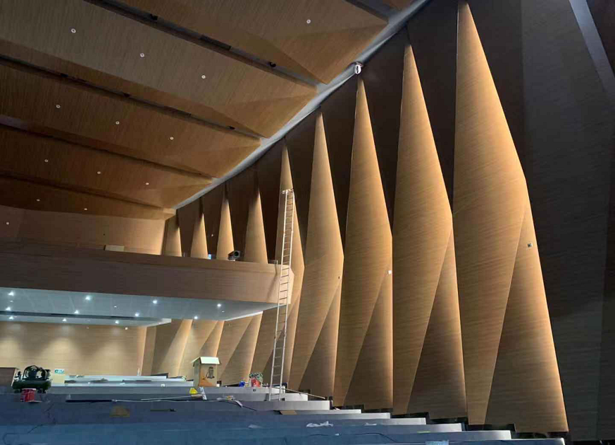 Lecture Hall Acoustic Project Wholesaler